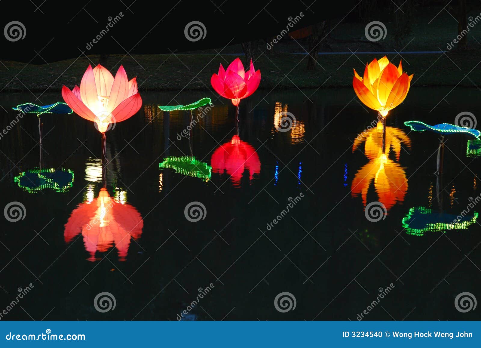 Lotus Lantern In The Gardens Royalty-Free Stock Photography ...