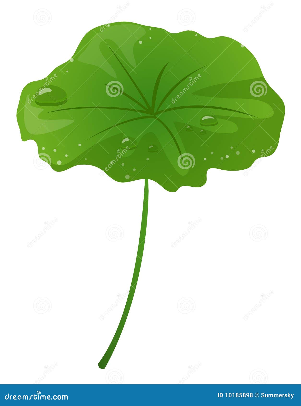 Lotus Leaf Vector, Chinese Lunar New Year Filled Outline Icon ...