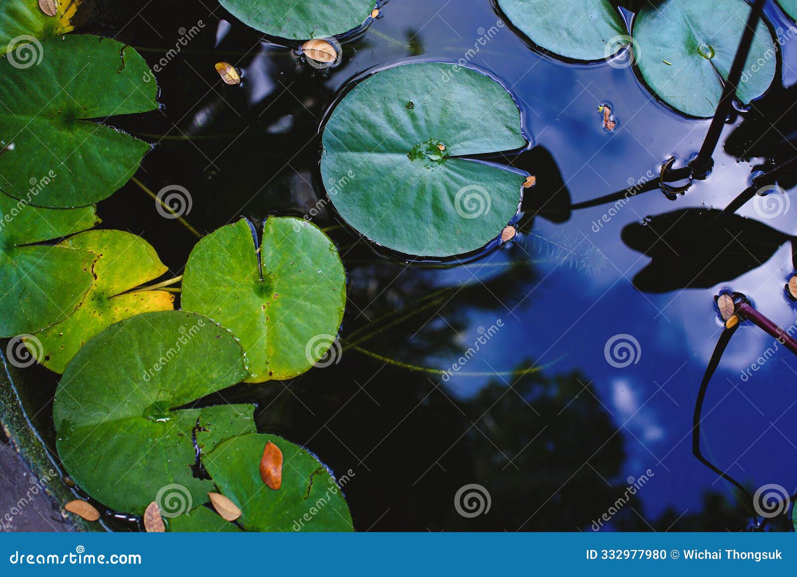 Green Floating Leaves Flying Leaves Green Leaf Dancing Air Purifier ...