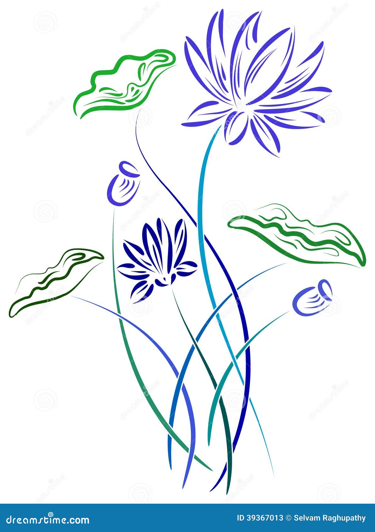 Lotus with leaves stock vector. Illustration of flora - 39367013