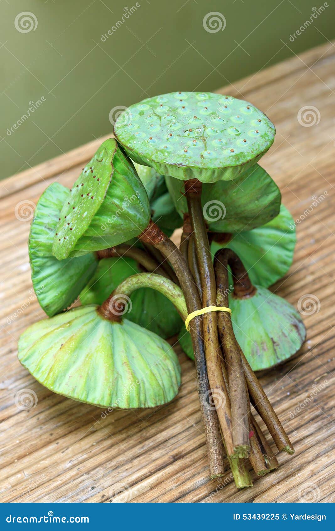 Lotus pods on rattan table stock image. Image of closeup - 53439225