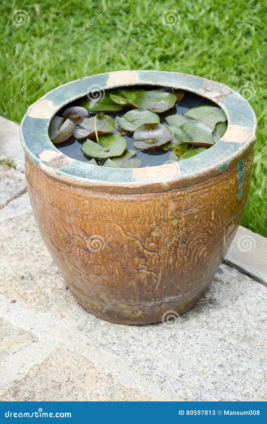 Lotus pot stock image. Image of leaf, waterlily, beautiful - 80597813