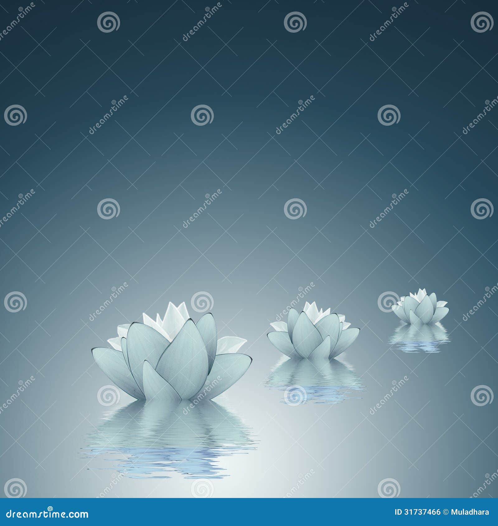 Lotus - Purity background stock illustration. Illustration of relaxing ...