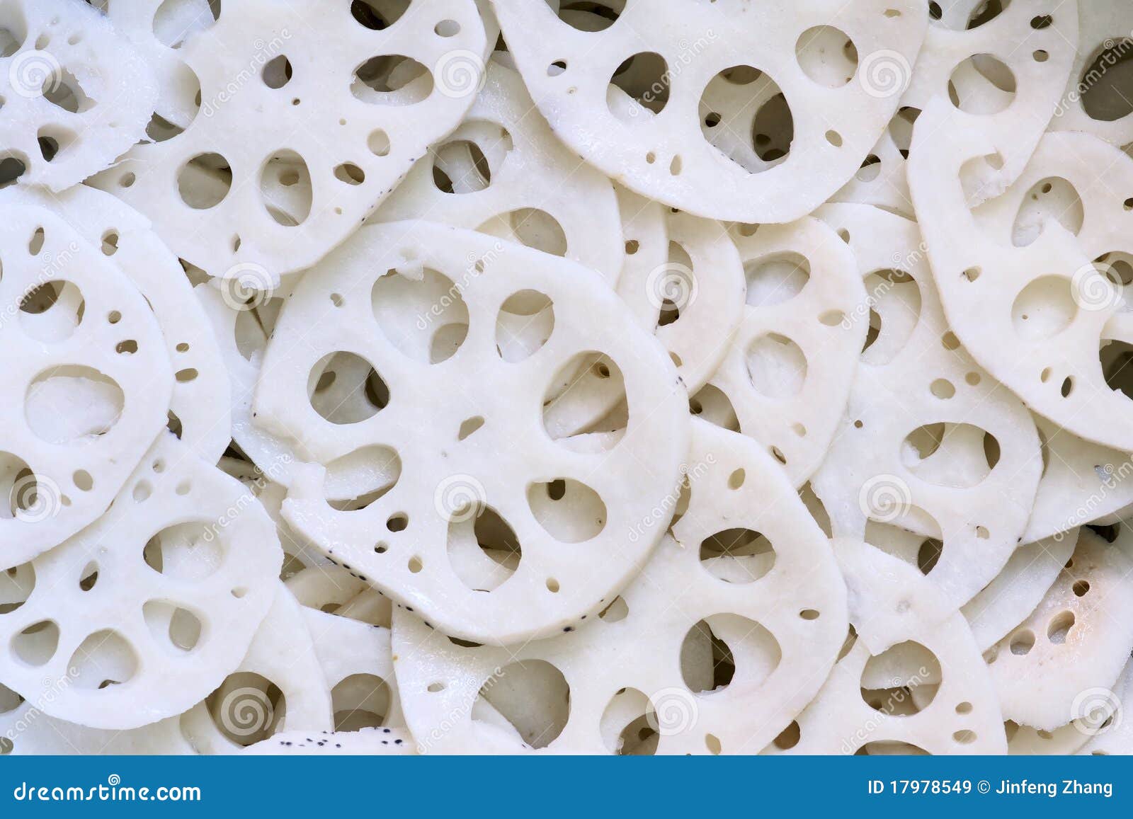 Lotus root stock image. Image of roundish, orbicular - 17978549