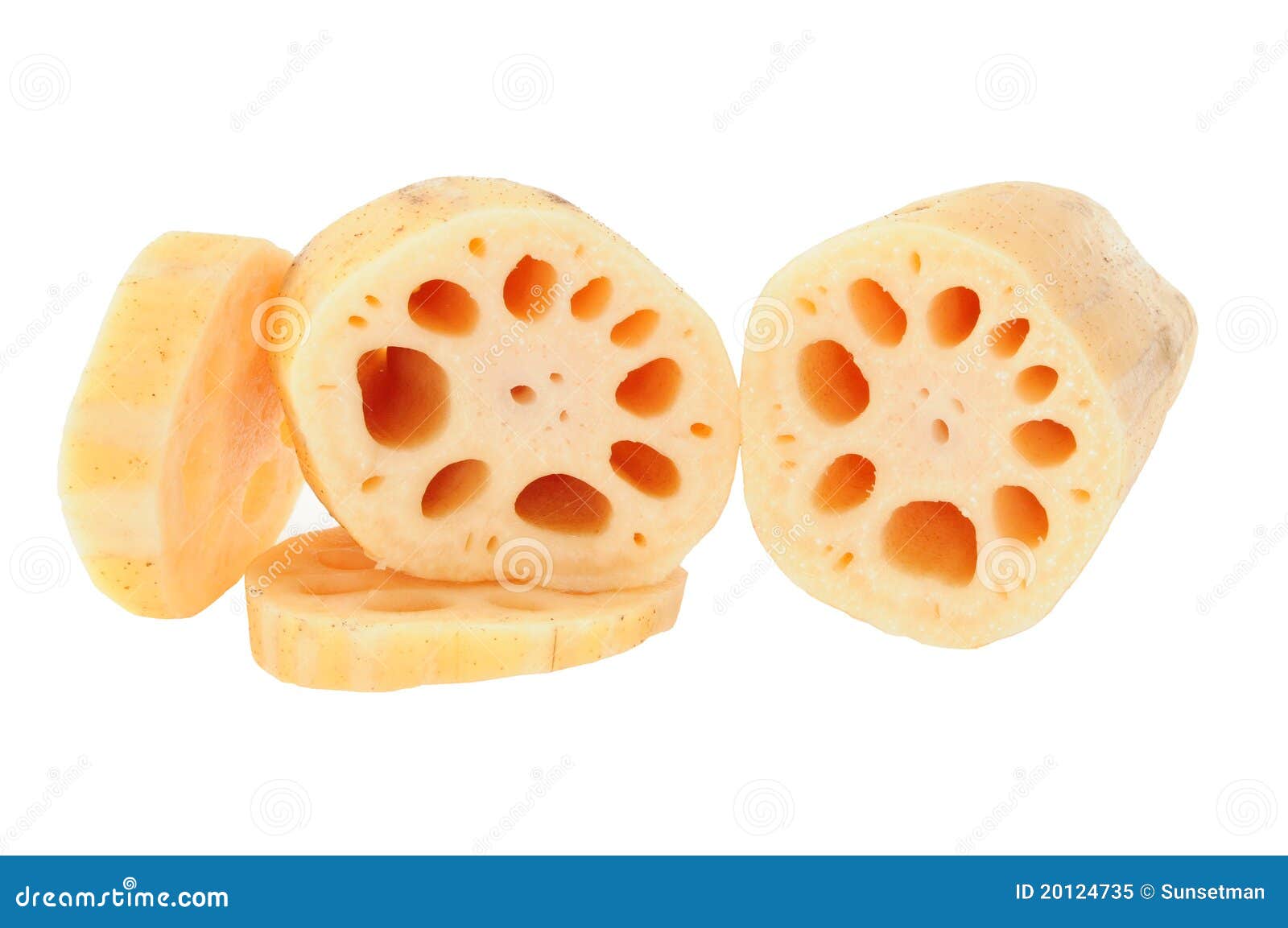 Lotus Root stock image. Image of fiber, view, hole, uncooked - 20124735