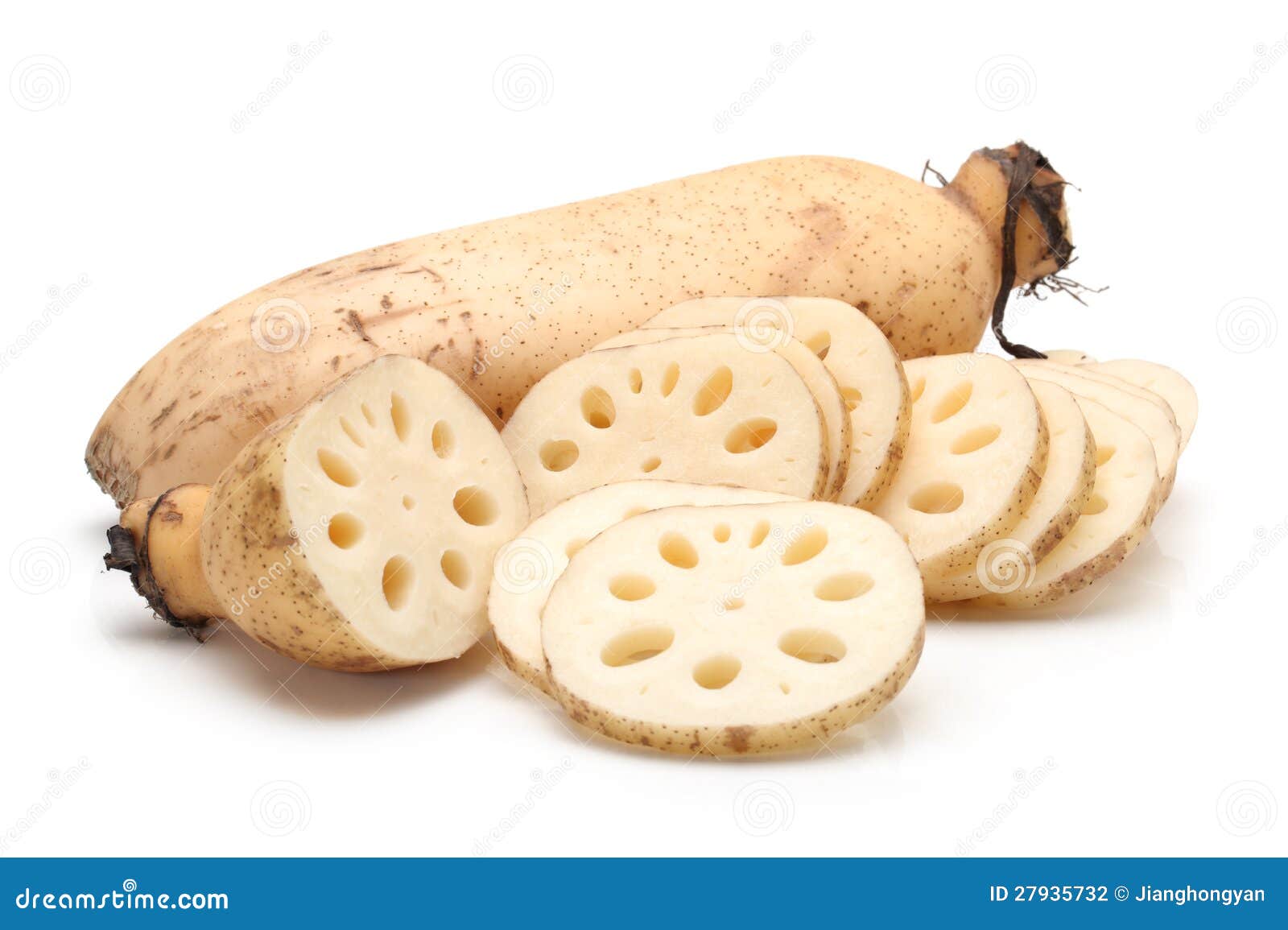 Lotus root stock photo. Image of diet, nutrition, japanese - 27935732