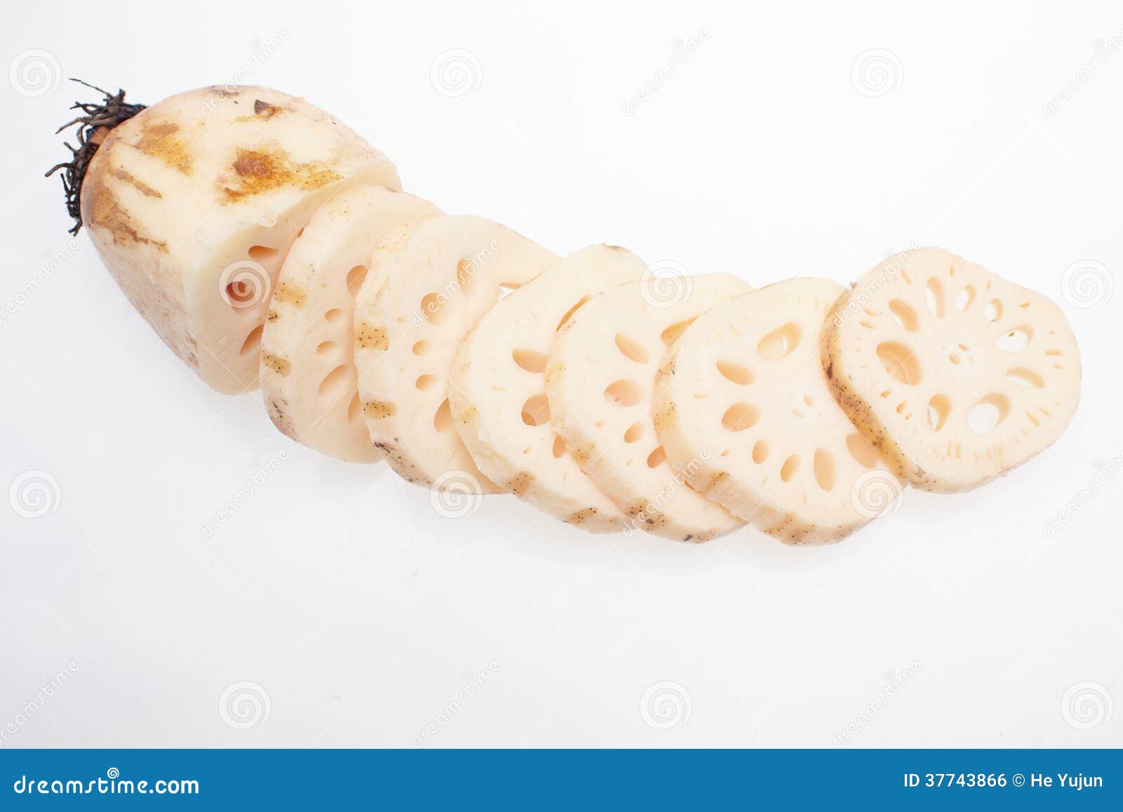 Lotus root stock photo. Image of healthy, roots, fresh - 37743866