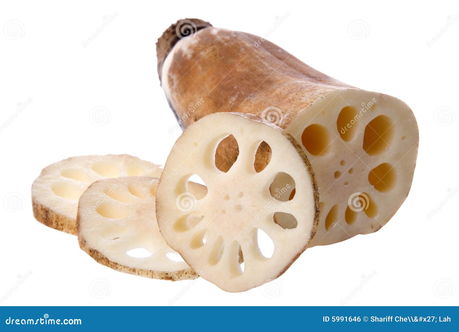Lotus Root Vegetable Raw Food Nelumbo Nucifera Root Aquatic Plant ...