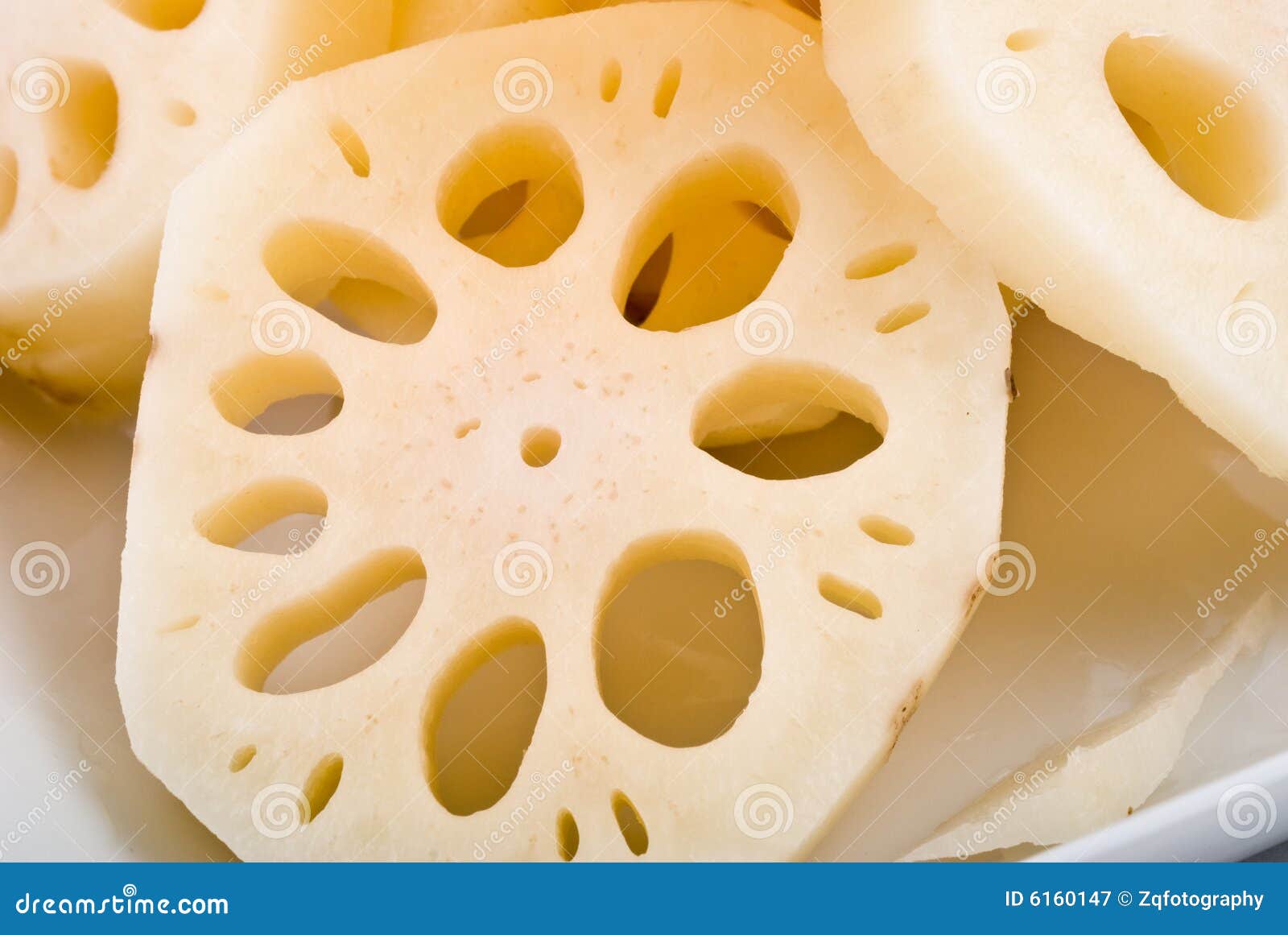 Lotus root stock image. Image of holey, oriental, food - 6160147