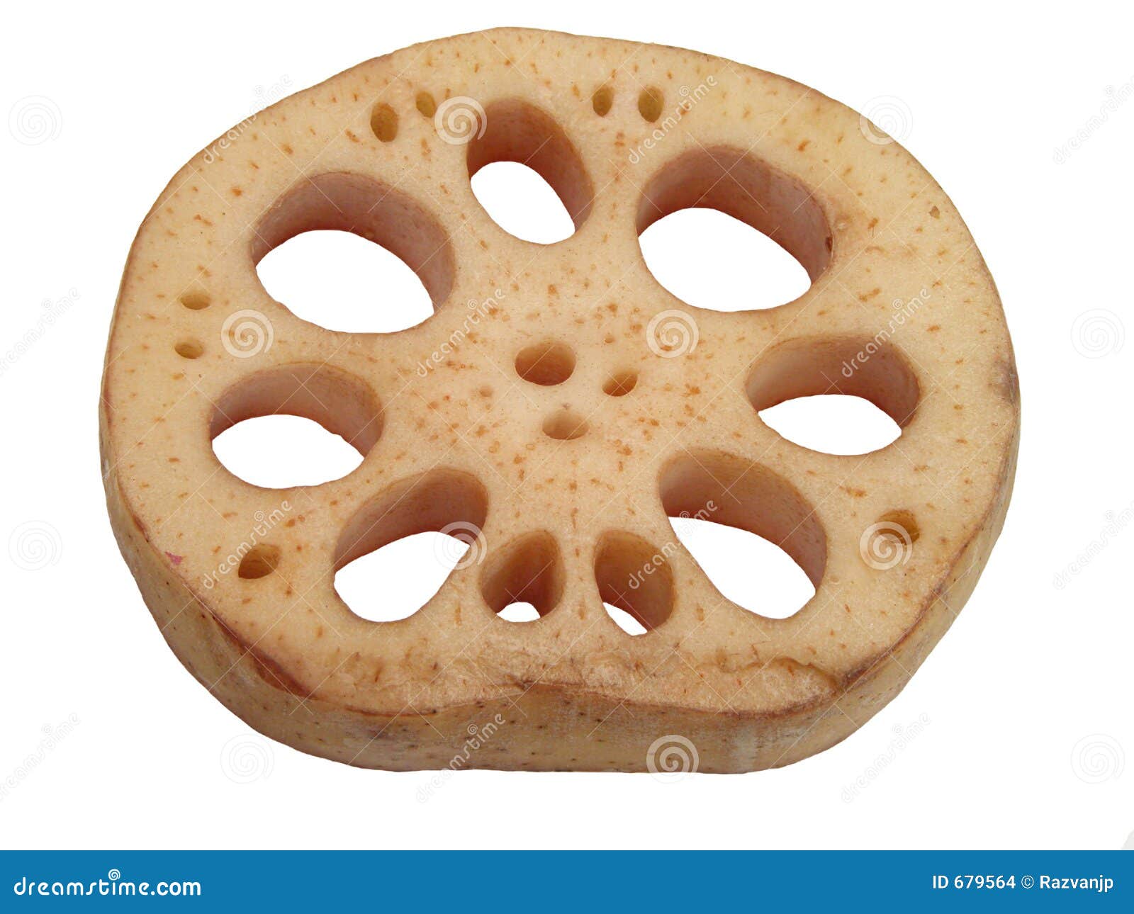 Lotus root stock photo. Image of holey, cuisine, healthy - 679564