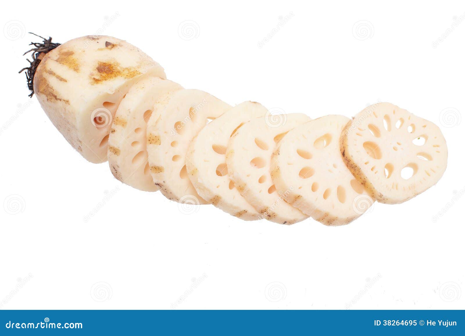 Lotus root stock image. Image of vegetable, veggies, organic - 38264695