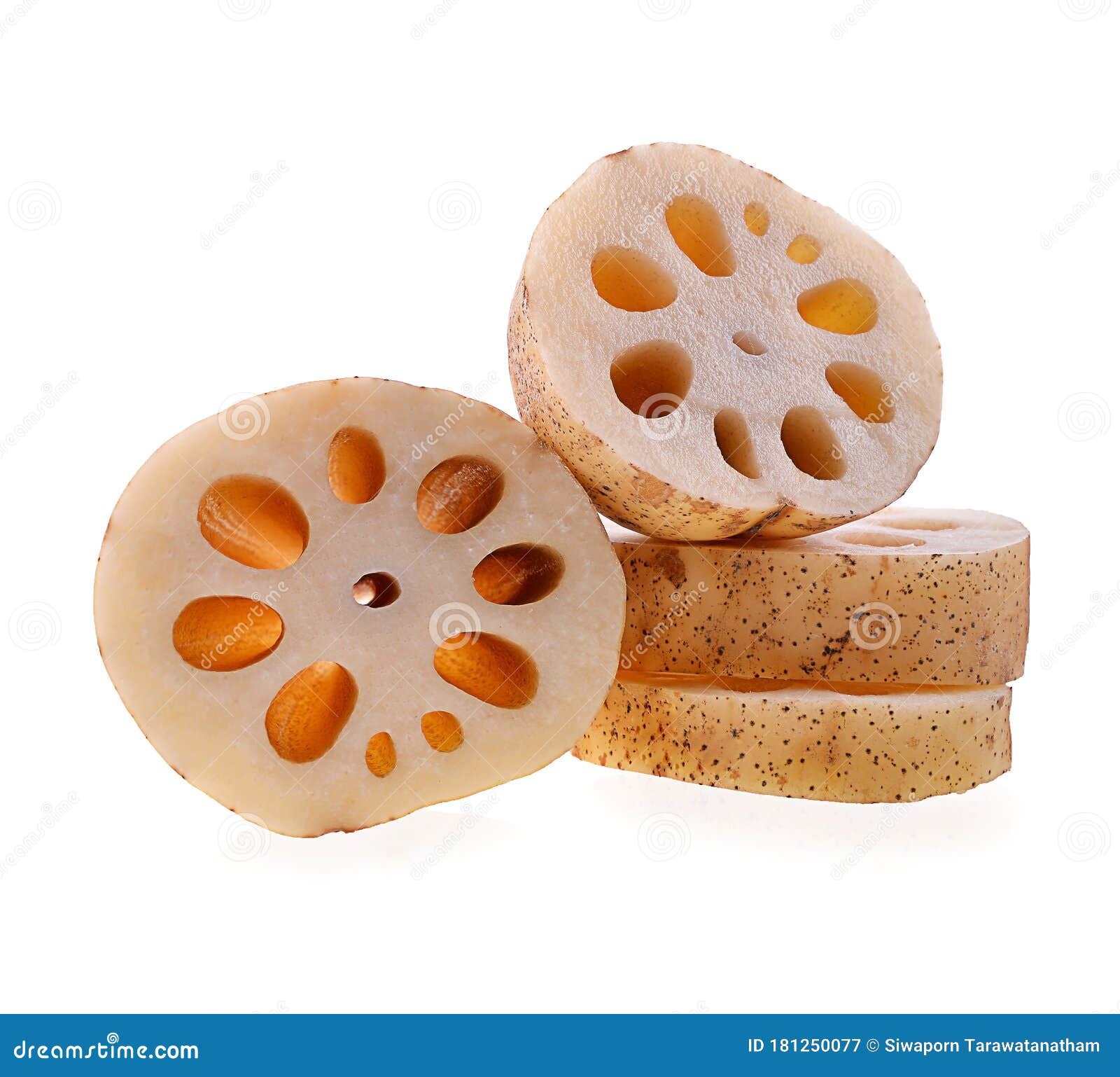 Lotus Root Isolated on White Background Stock Image - Image of lotus ...