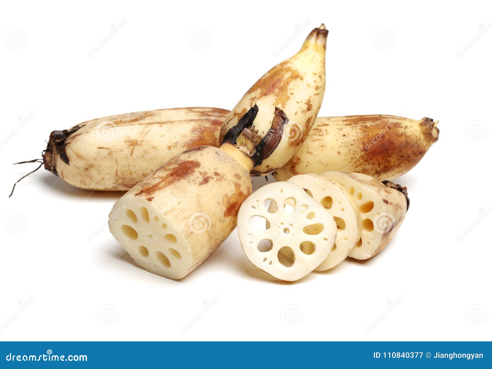 Lotus root stock image. Image of fiber, asian, isolation - 110840377