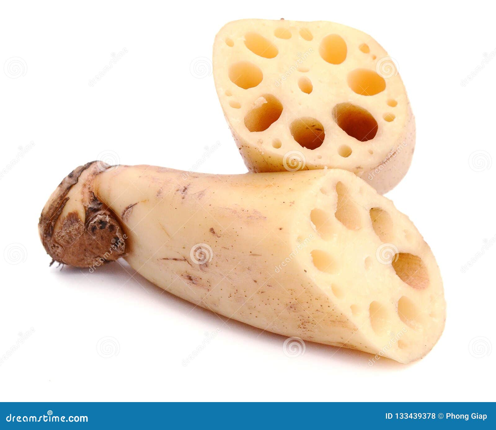 Sliced Lotus Root Isolated on the White Stock Photo - Image of food ...