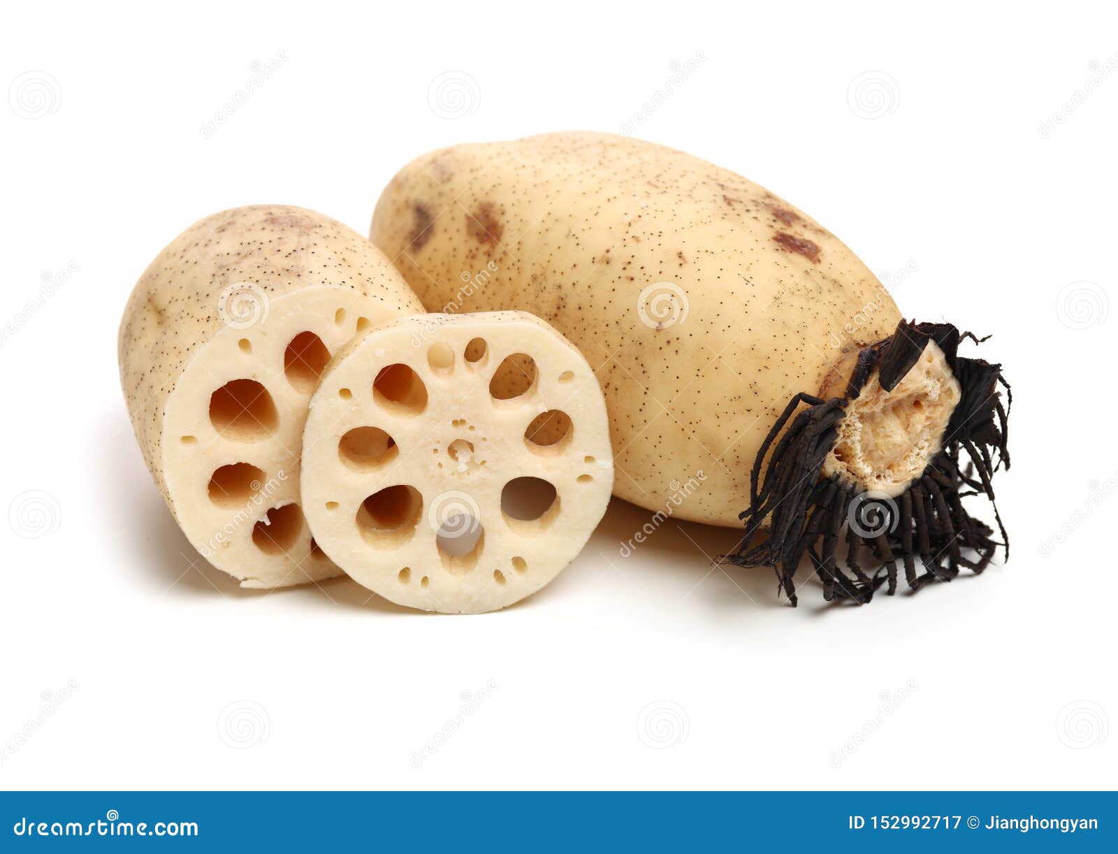 Lotus root stock image. Image of isolation, studio, brown - 152992717