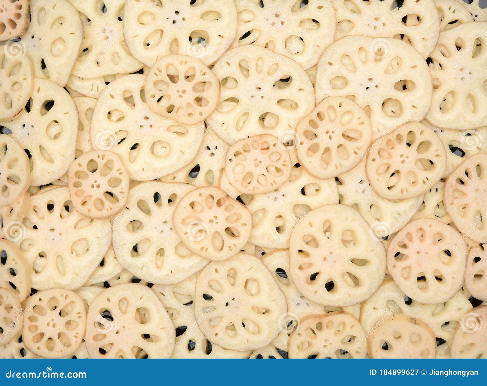 Lotus root slice stock image. Image of healthy, green - 104899627