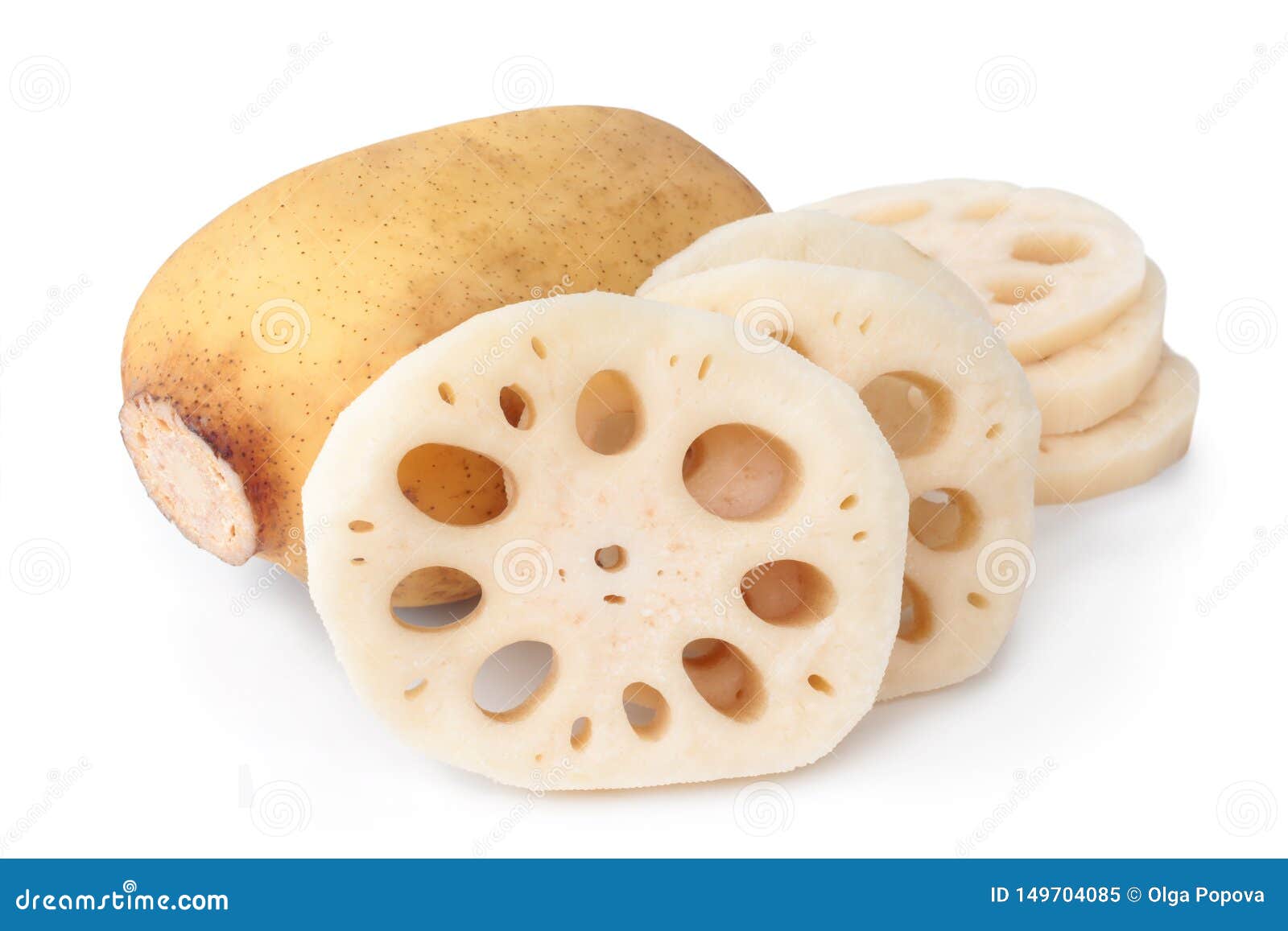 Lotus root stock image. Image of ingredient, asia, chinese - 149704085