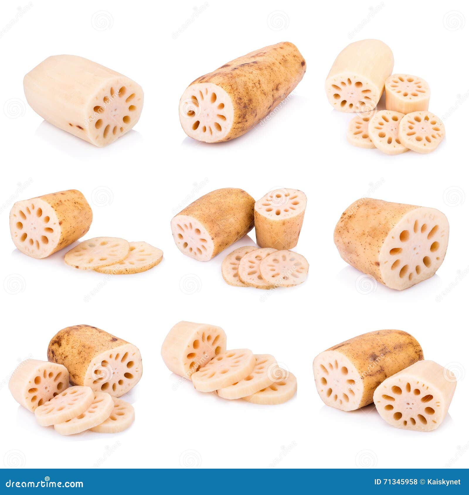 Lotus Root on White Background Stock Photo - Image of asian, isolation ...