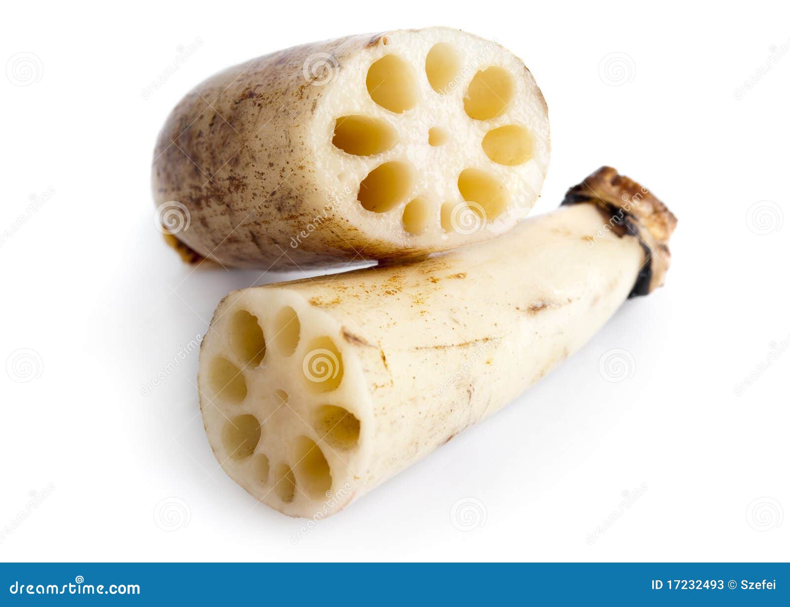 Lotus Roots stock image. Image of crop, culture, isolated - 17232493