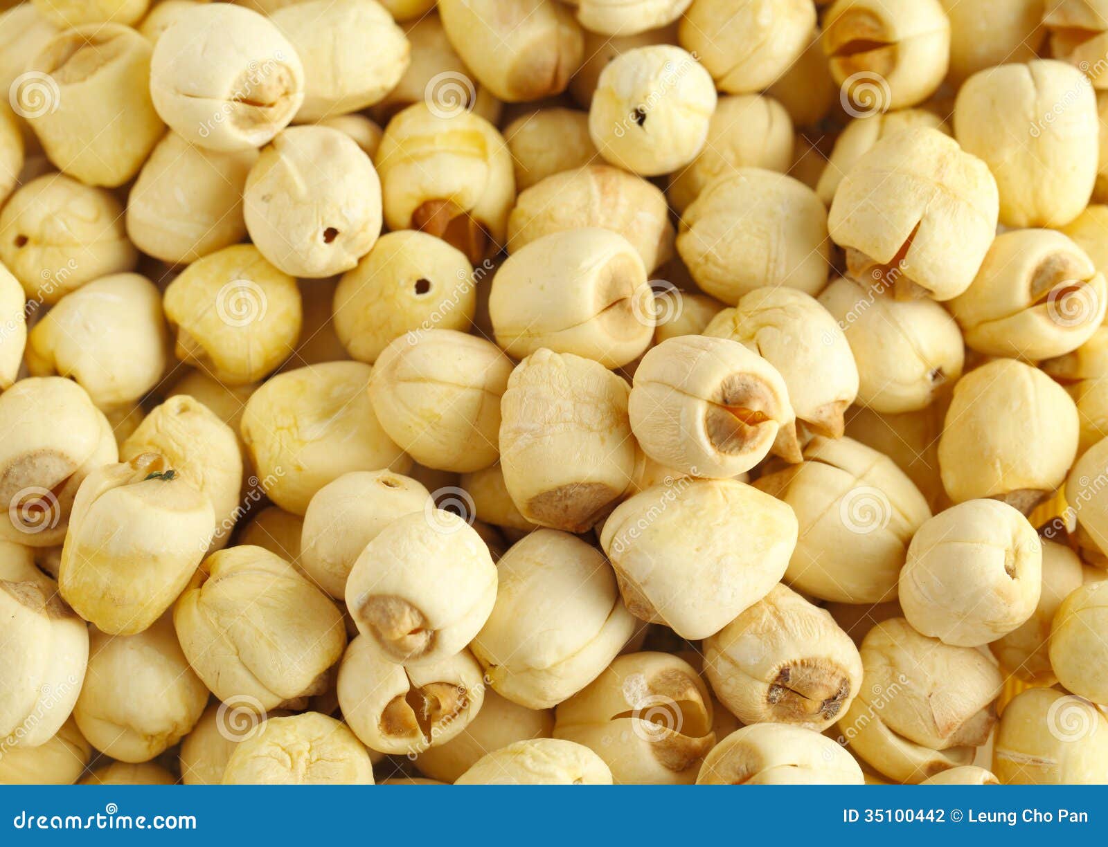 Lotus seed stock photo. Image of medicine, sugar, vegetable - 35100442