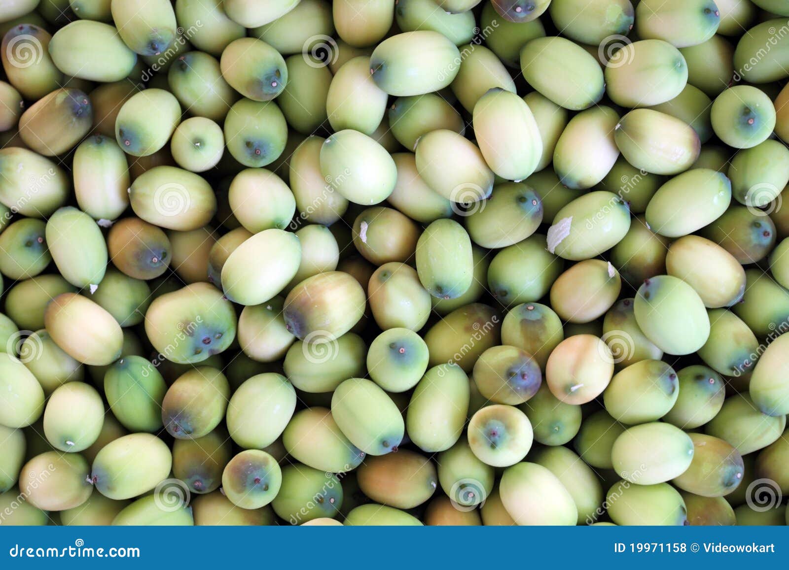 Lotus seed (lian zi) stock photo. Image of nelumbo, agricultural - 19971158
