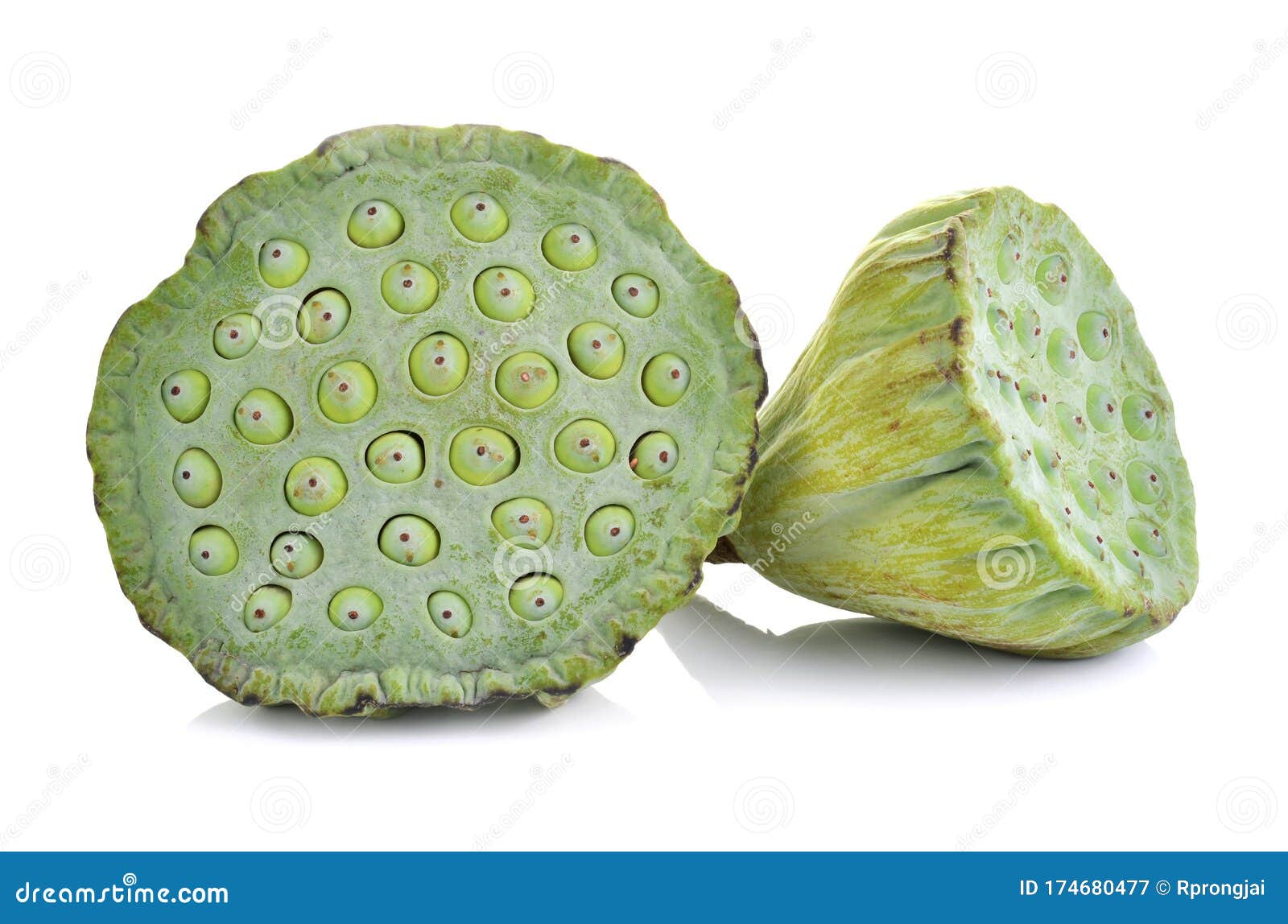 Lotus seeds stock image. Image of aquatic, fruit, ingredient - 174680477