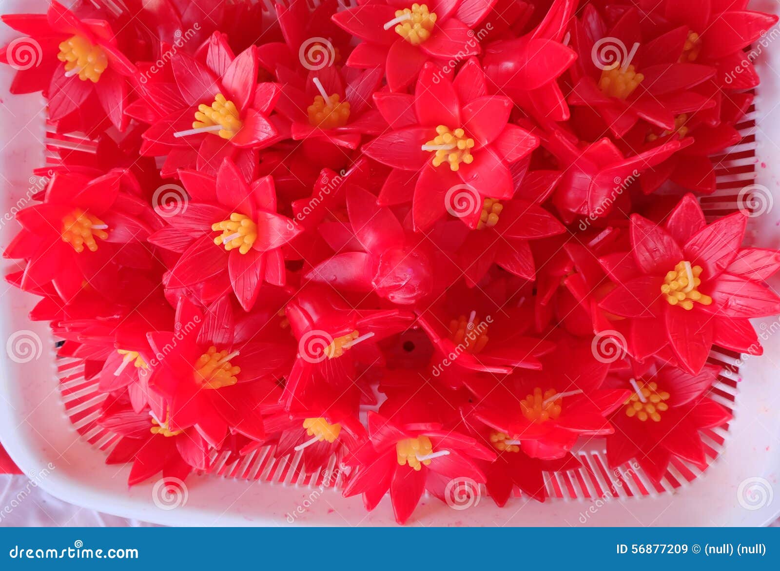 Lotus shaped candles stock image. Image of candle, symbol - 56877209