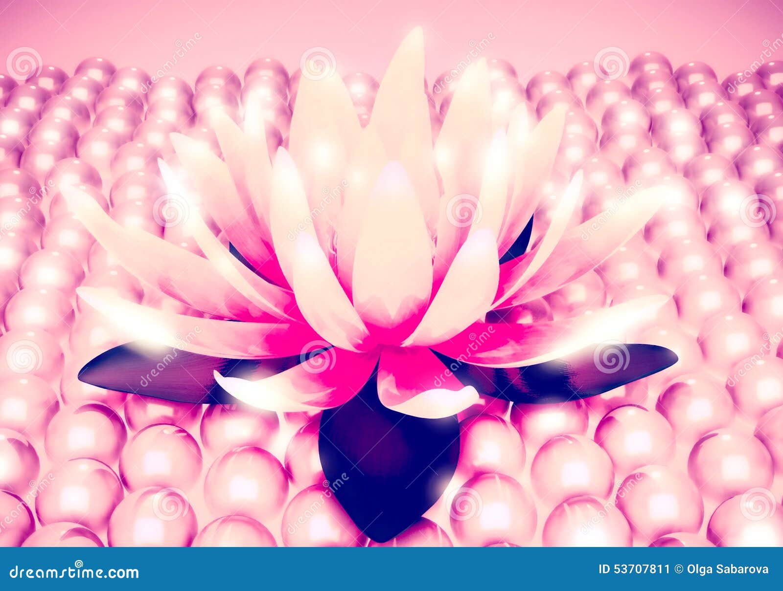 Lotus shine and pearls. stock illustration. Illustration of fairytale ...