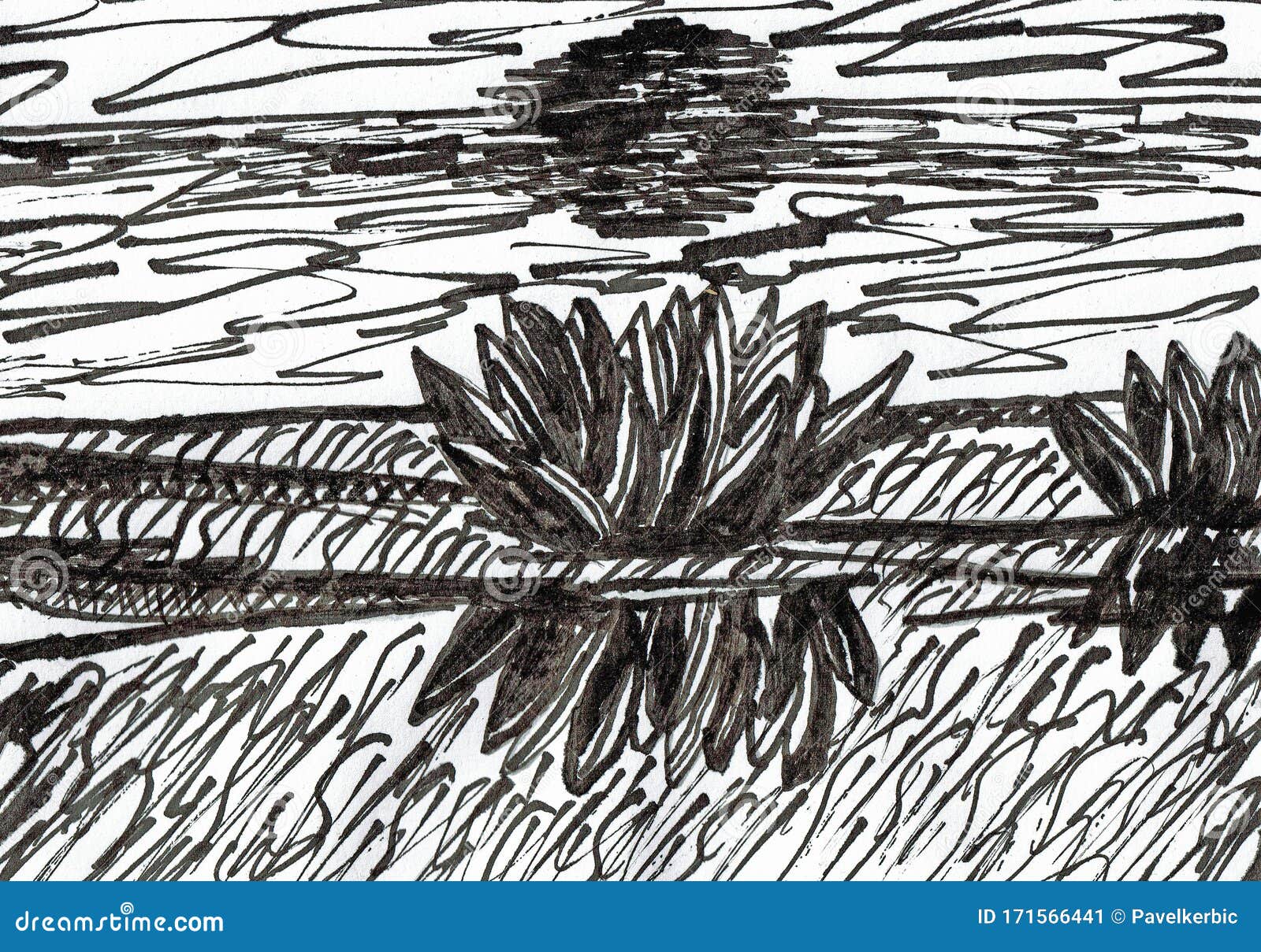 Lotus in a Sunset. Hand Drawn Ink Drawing Stock Illustration ...