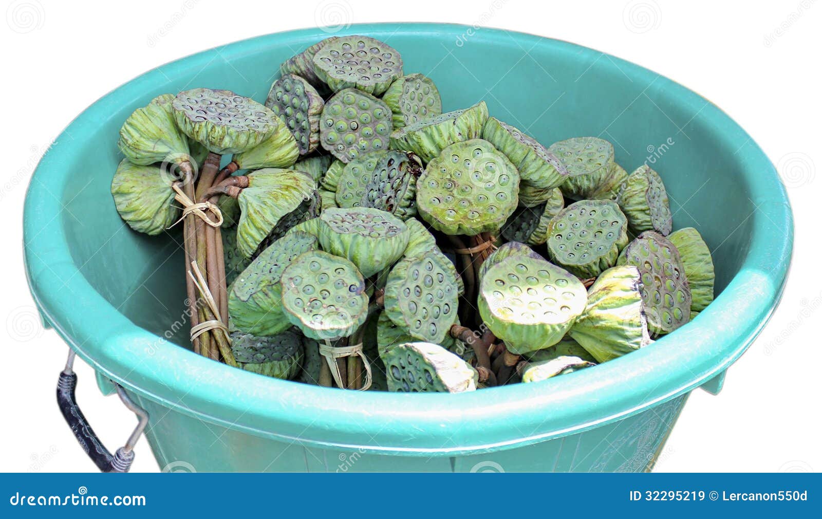 Lotus on ware isolated stock image. Image of desktop - 32295219