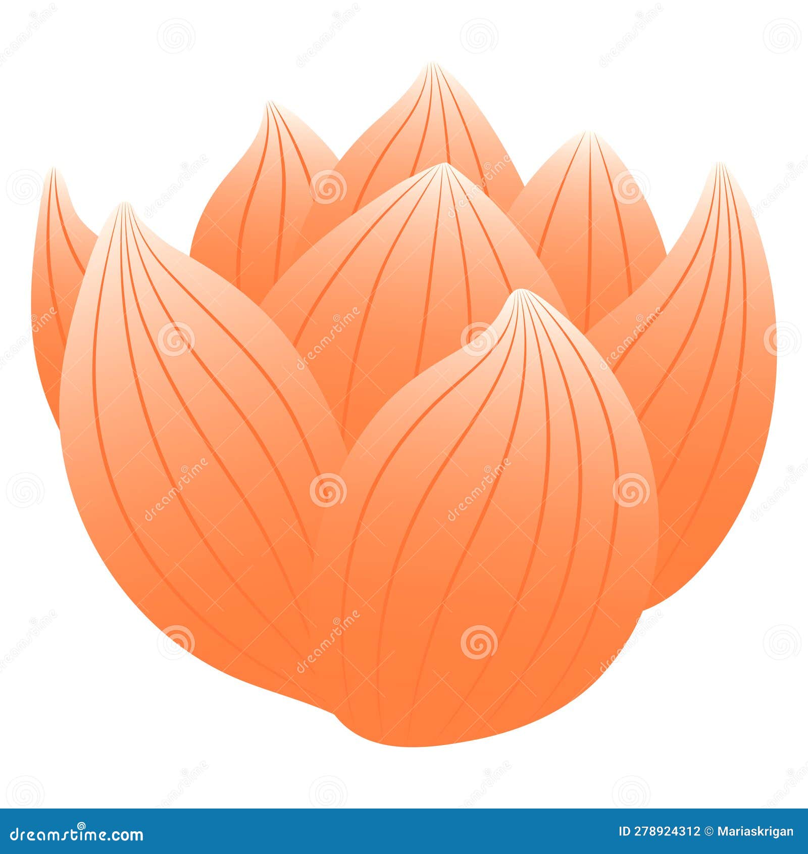 Lotus Water Lily Flower Hand Drawn Illustration Stock Vector Illustration Of Moon Lily