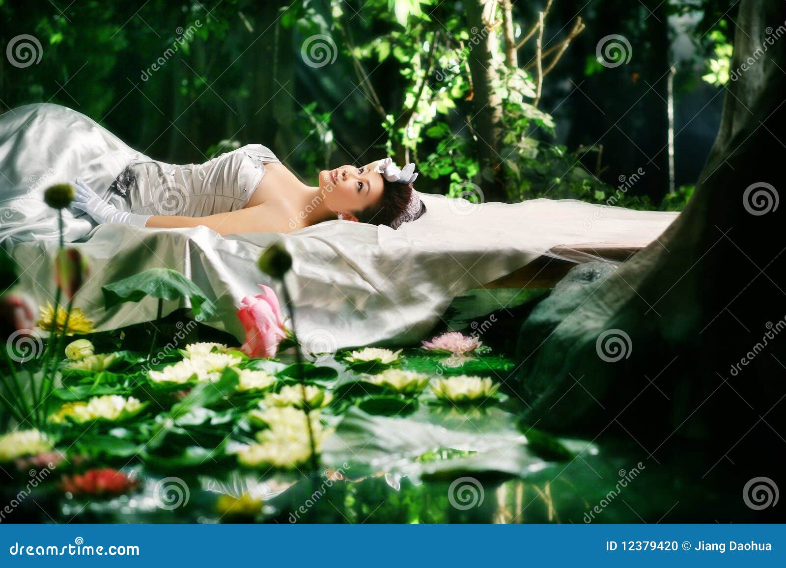 Lotus woman stock photo. Image of happy, lying, luxury - 12379420
