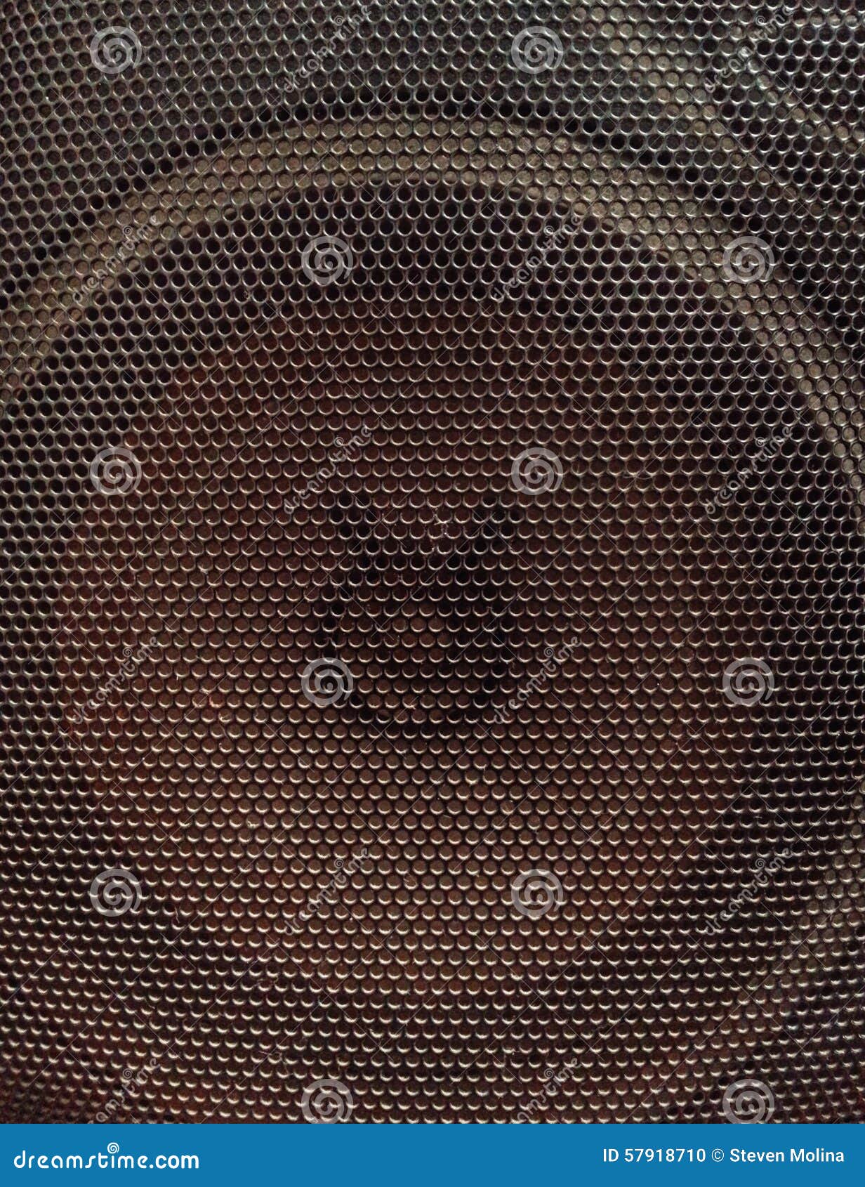 Loudspeaker stock photo. Image of speaker, metal, sound - 57918710