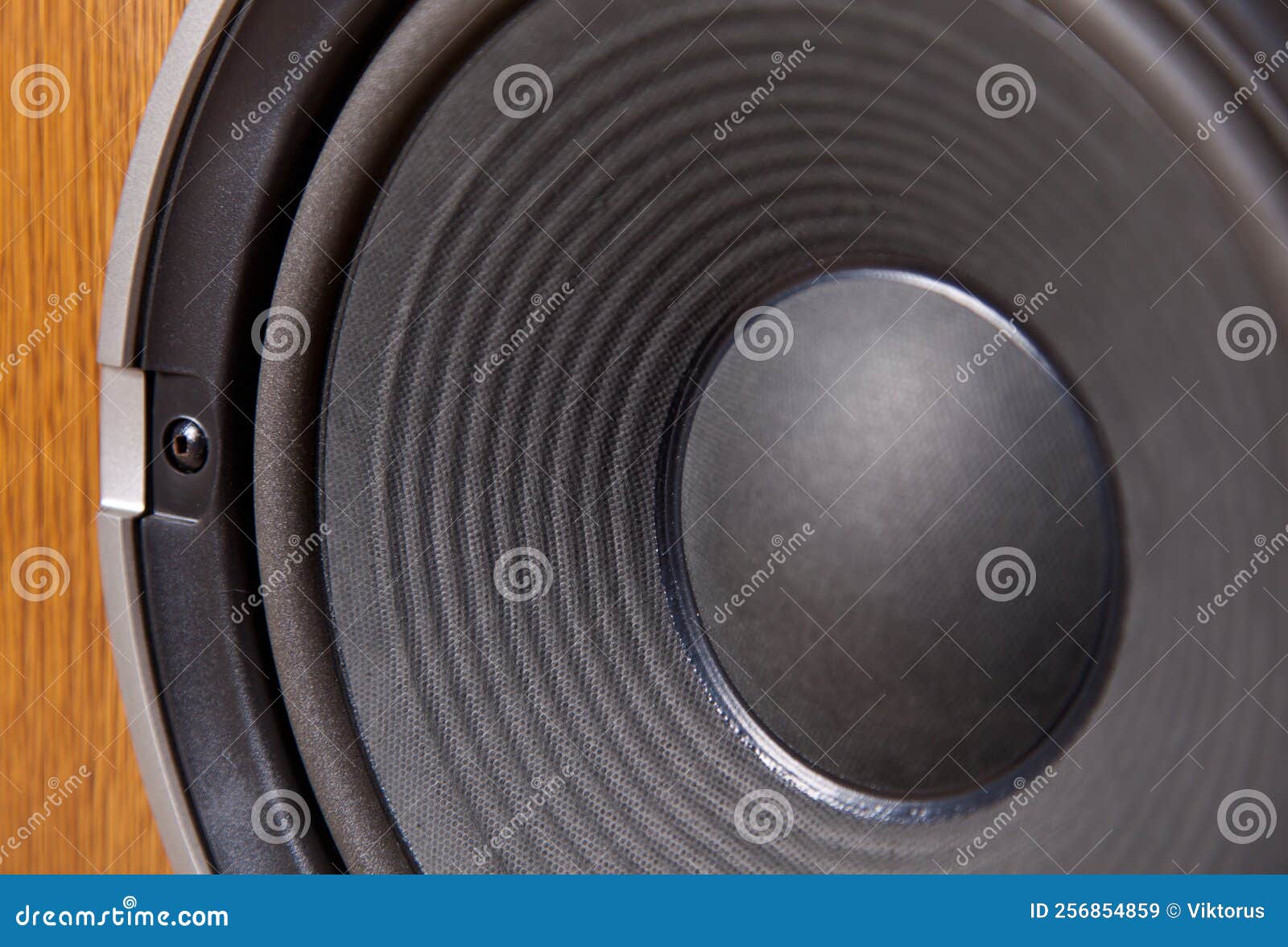 Loudspeaker Front Panel with Attached Speaker Driver Stock Image ...