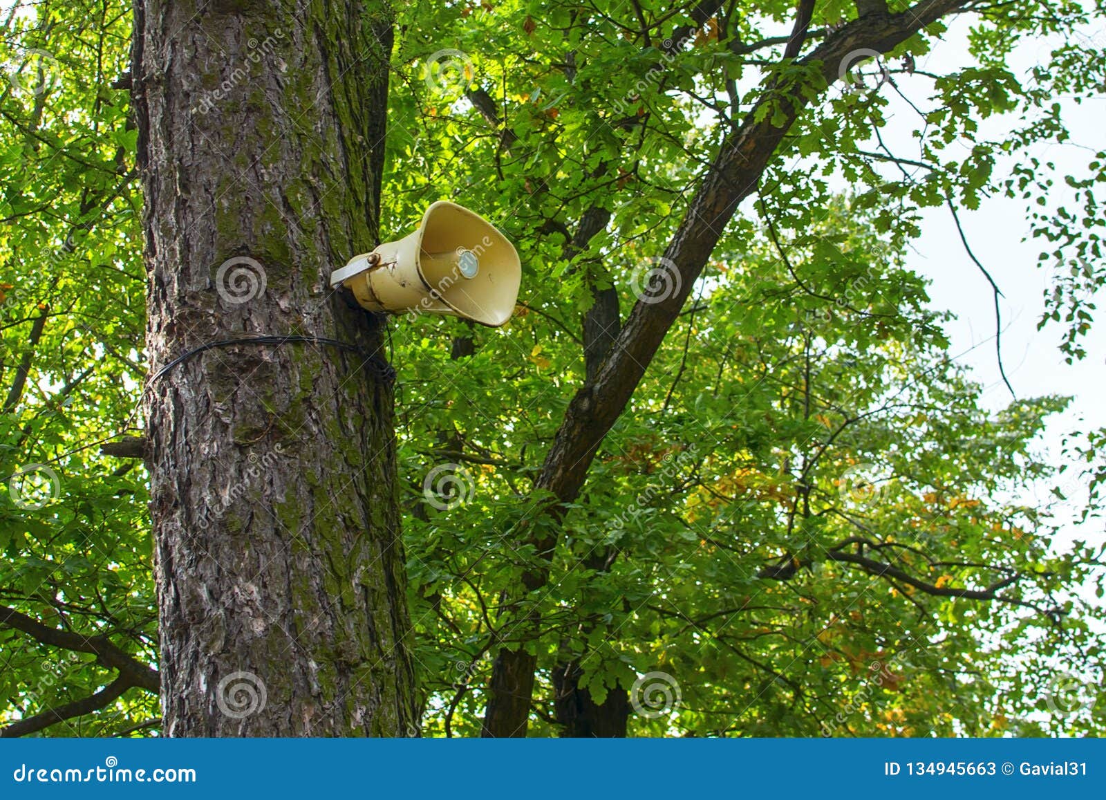 Loudspeaker on the tree stock image. Image of speak - 134945663