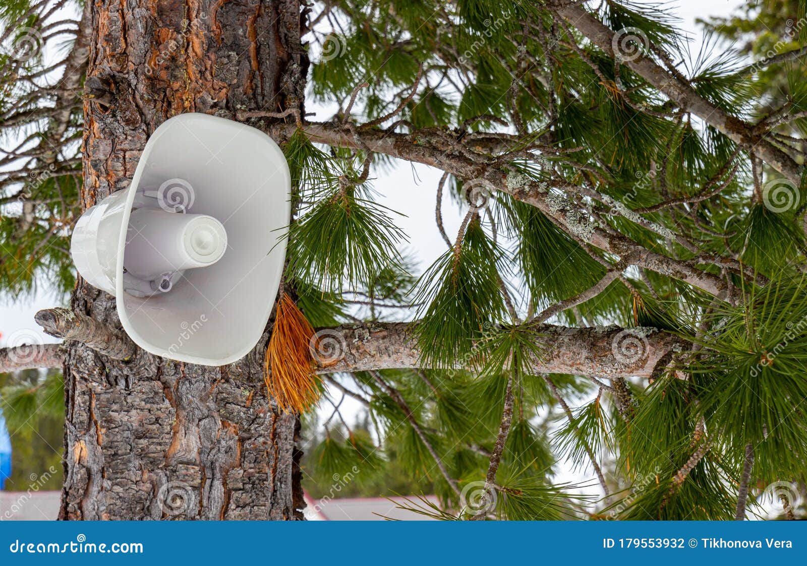 Loudspeaker on tree stock photo. Image of broadcast - 179553932