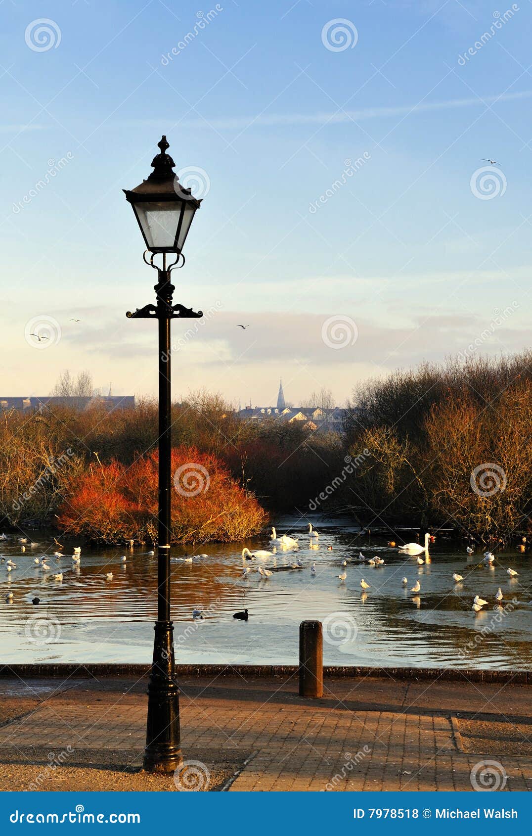 The Lough stock photo. Image of water, beautiful, pond - 7978518