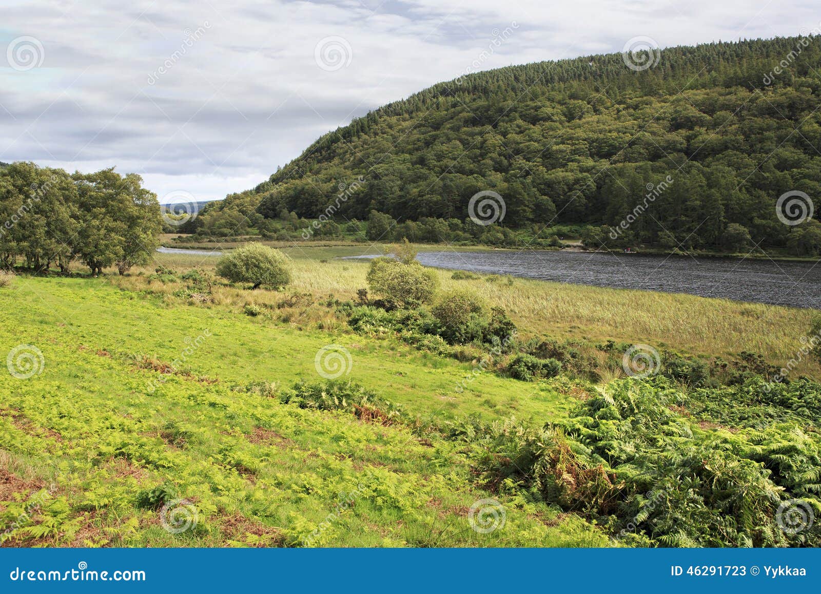 Lough Dan in Wicklow Mountains National Park Stock Image - Image of ...