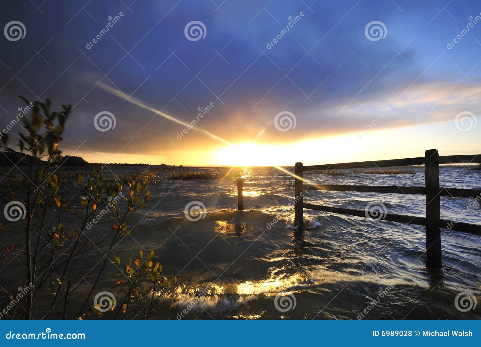 Lough Ennel Sunset stock photo. Image of westmeath, leaves - 6989028