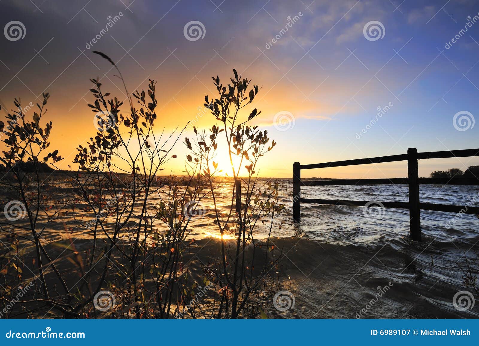 Lough Ennel Sunset stock image. Image of foliage, ireland - 6989107