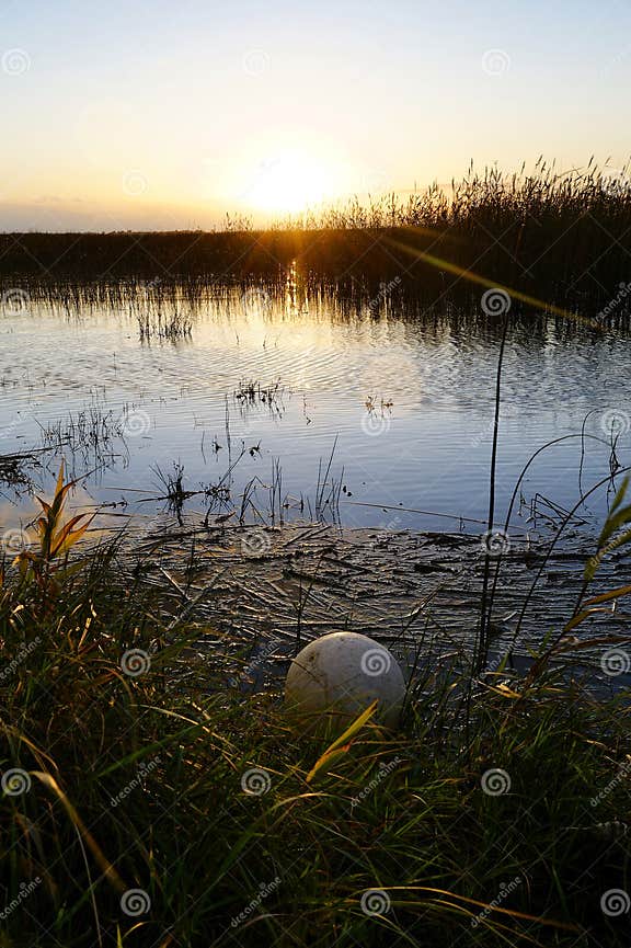 Lough Ennell stock image. Image of lake, ireland, eire - 7137921