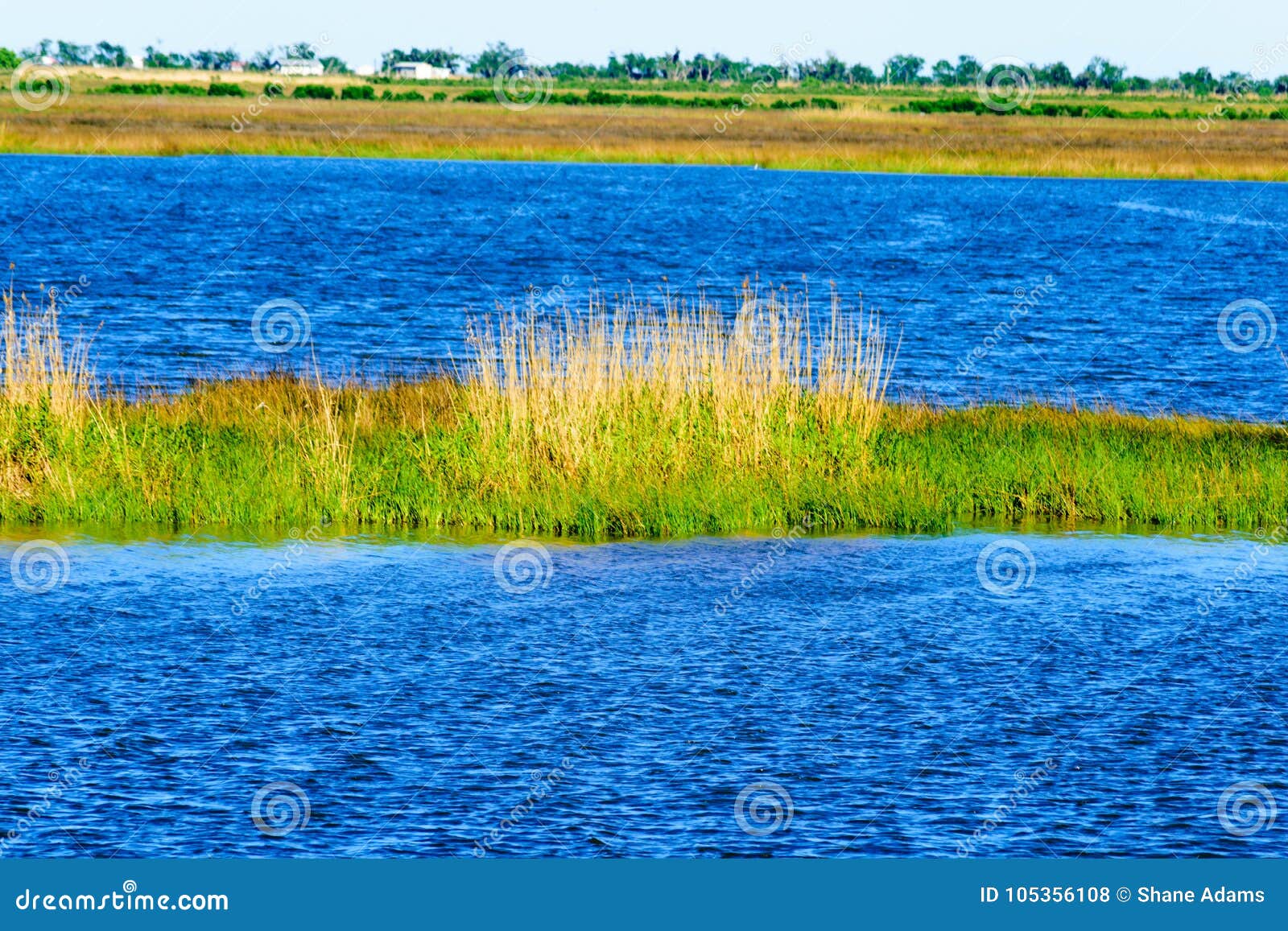 Louisiana Bayou stock photo. Image of parish, wetlands - 105356108