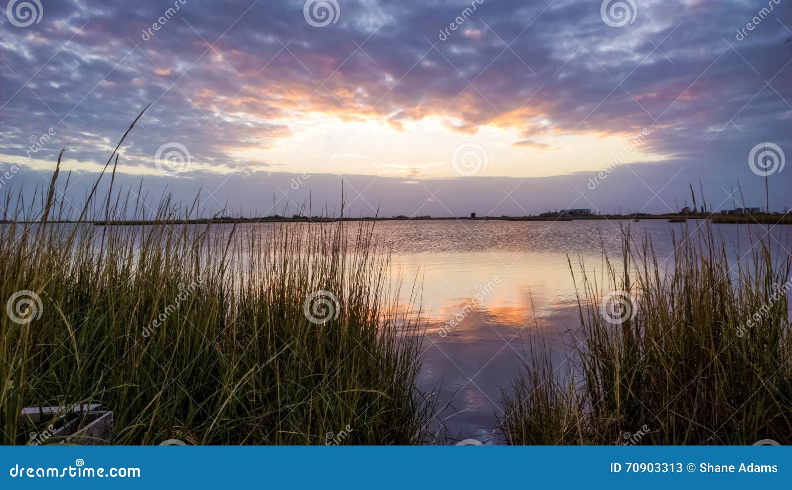 Louisiana Marsh stock image. Image of marsh, saltmarsh - 70903313