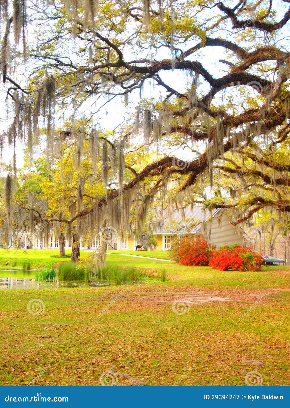 Louisiana plantation stock image. Image of garden, landscape - 29394247