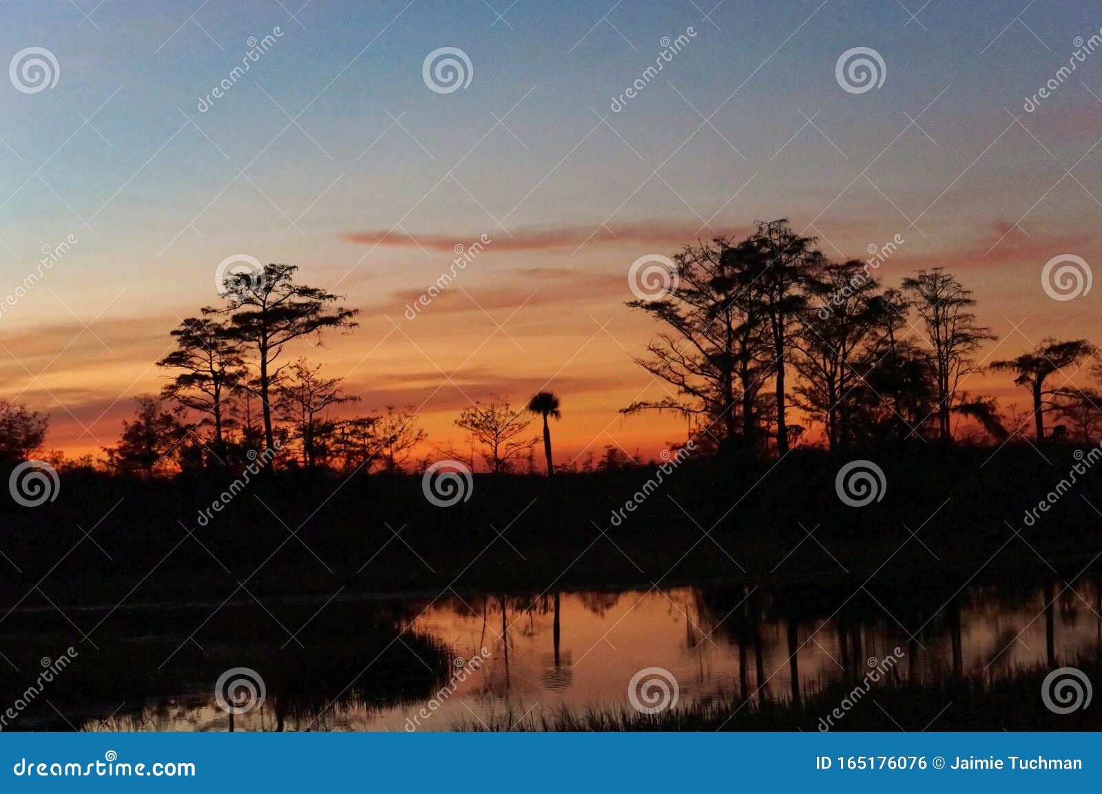 Louisiana Swamp Sunset Silhouette and Reflections Stock Photo - Image ...