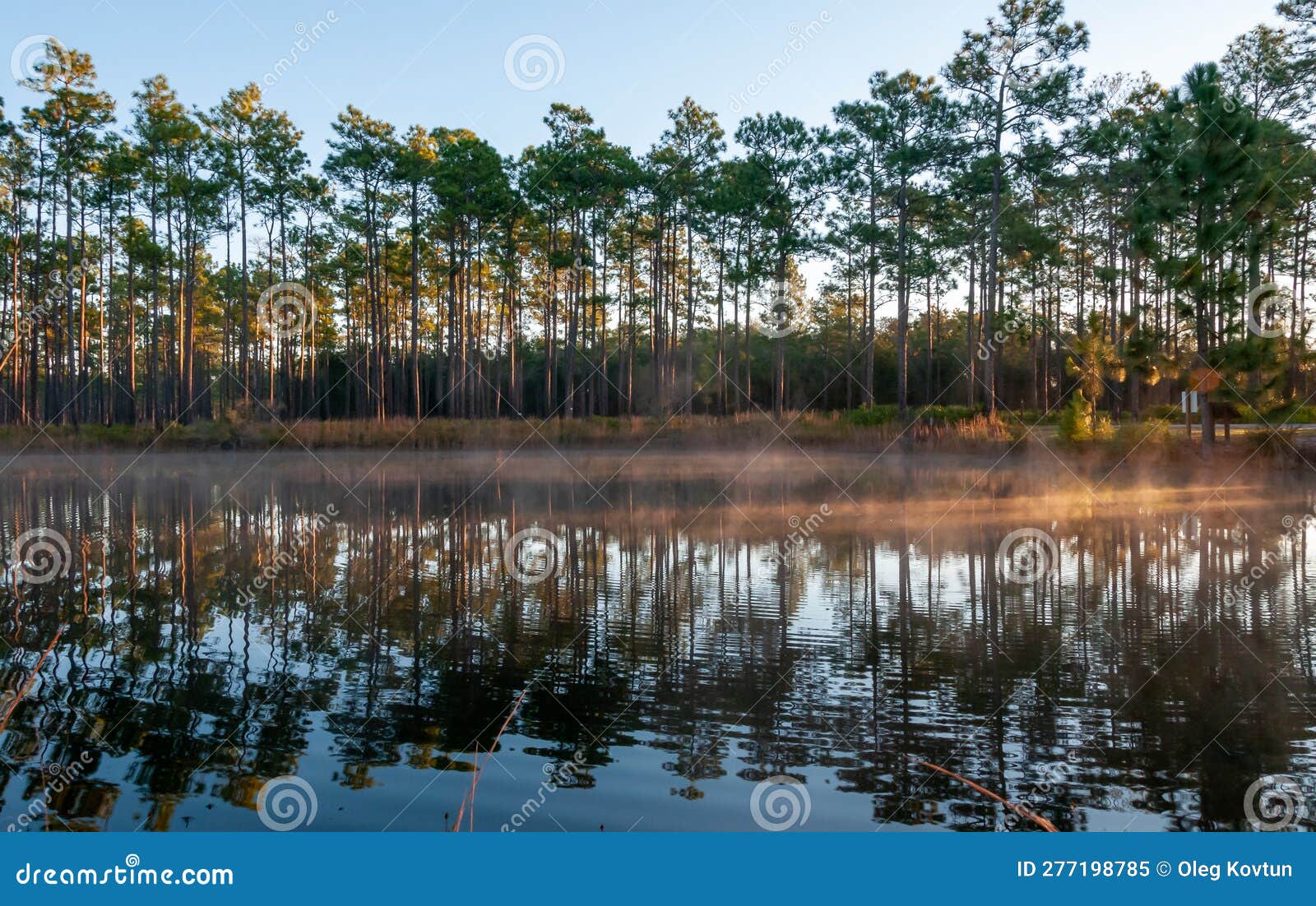 Reflection of Trees in the Lake Water in the Evening at Sunset ...