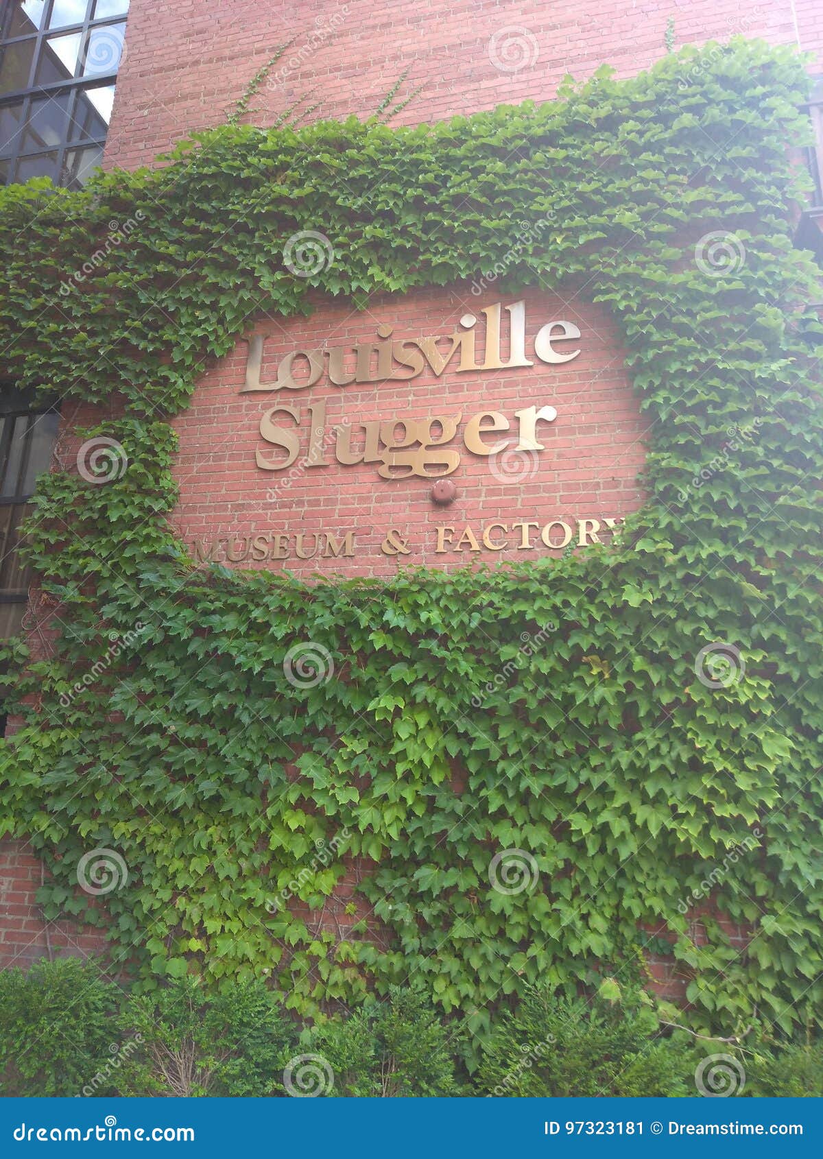 Louisville Slugger editorial photo. Image of hedge, tree - 97323181