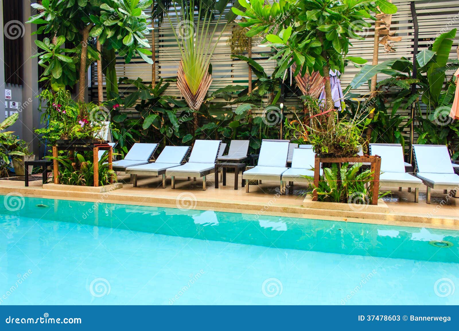 Lounge Sunbed in Swimming Pool Stock Image - Image of poolside, green ...