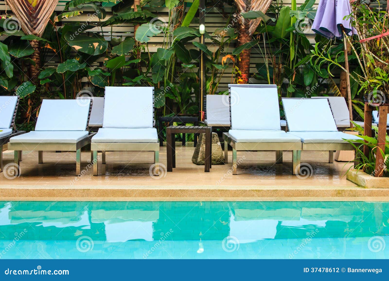 Lounge Sunbed in Swimming Pool Stock Photo - Image of summer, design ...