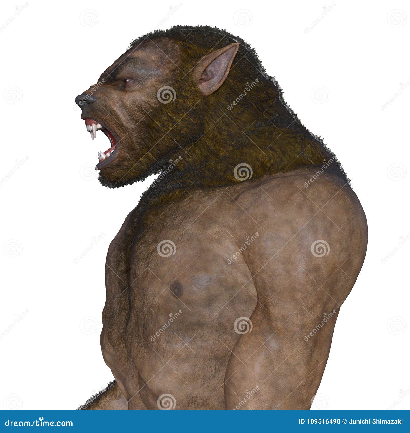 Loup-garou illustration stock. Illustration du transformation - 109516490